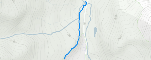 The Direttissima Hiking Trail - Pinkham Notch, NH