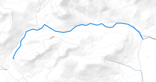 Hancock Notch Trail Multi Trail - Harts Location, NH