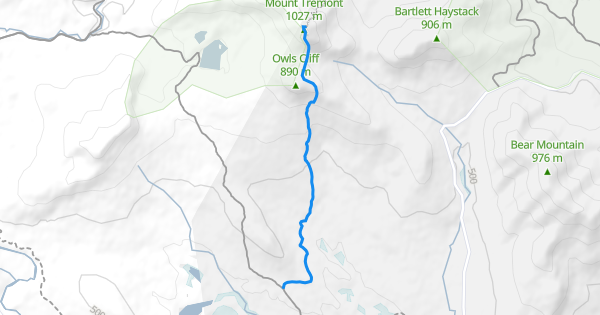 Brunel Trail Hiking Trail - Pinkham Notch, NH