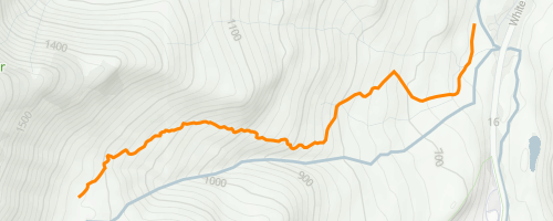 Gulf of Slides Ski Trail Multi Trail - Pinkham Notch