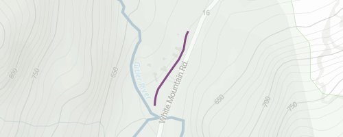 Pinkham Notch Visitor Center Access Road Multi Trail - Pinkham Notch