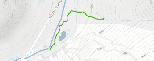 Thompson Falls Trail Hiking Trail - Pinkham Notch, NH