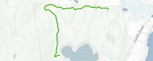 Gilson Pond Remote Campsites Loop Multi Trail - Jaffrey