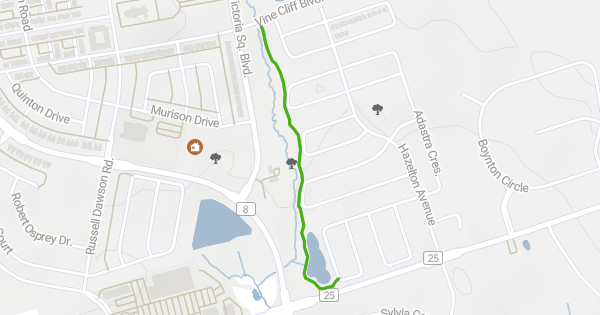 Artisan Trail Mountain Biking Trail - Markham, ON