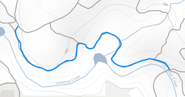 Lacamas Creek Trail (Upper) Mountain Biking Trail - Camas