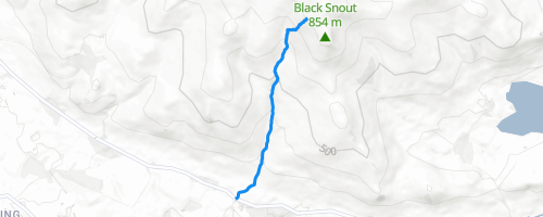 Mount Shaw Trail Mountain Biking Trail - Moultonborough