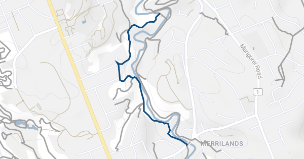 Te Henui Walkway Loop Around Hiking Trail