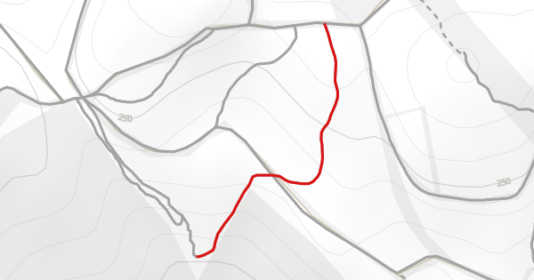 Name and Shame Mountain Biking Trail - Auchtermuchty