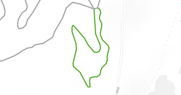 Talking Tree Trail Hiking Trail - Clemmons, NC