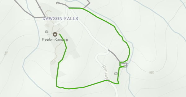 Kapuni Loop Track Hiking Trail - Taranaki | Trailforks