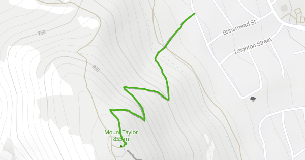 Mt Taylor Walking Track Climb Hiking Trail - Canberra
