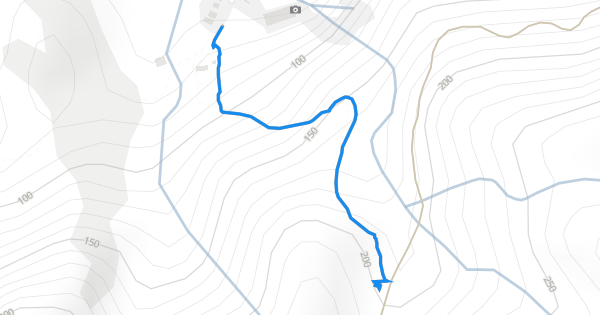 Trilha do Viveiro Mountain Biking Trail - | Trailforks