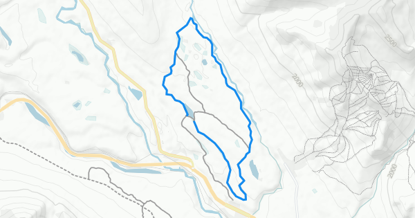 Pipestone Loop Nordic Skiing Trail - Lake Louise, AB