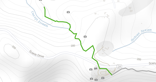 Arataki Nature Trail Hiking Trail - Auckland