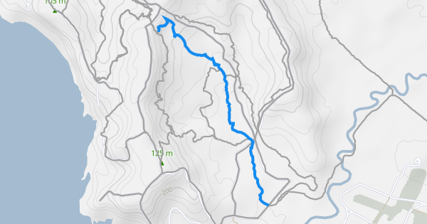 Jungle Rush Mountain Biking Trail - Tola | Trailforks