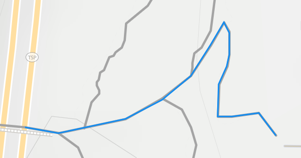 Taconic Bridge Trail (Woodlands Legacy) Mountain Biking Trail - Yorktown