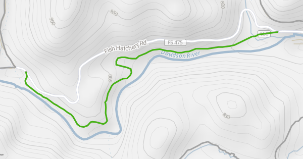 Davidson River Trail Multi Trail - Brevard, NC