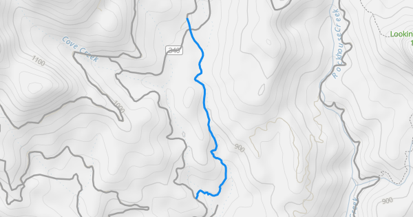 Caney Bottom Trail - Upper Multi Trail - Brevard, NC