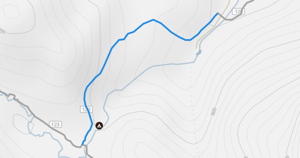Cat Gap Loop Hiking Trail - Brevard, North Carolina