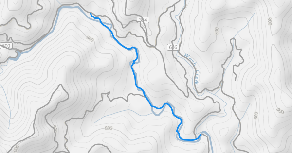 North Mills River Trail Multi Trail - Mills River, NC