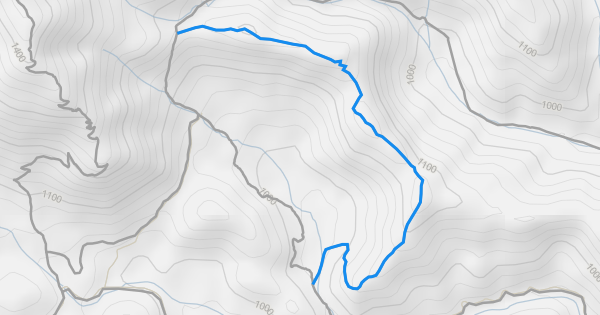 Pilot Cove Loop Multi Trail - Brevard, North Carolina