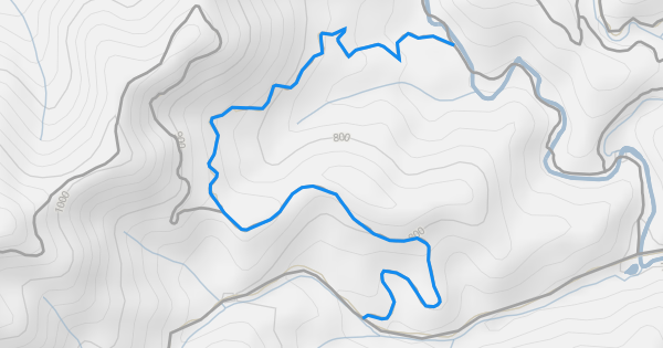 Yellow Gap Trail Multi Trail - Mills River, NC