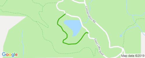 Fawn Lake Loop Multi Trail - Cedar Mountain, NC