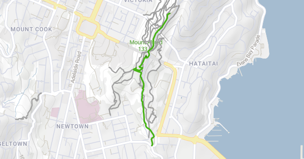 Southern Walkway Multi Trail - Mt Vic, Wellington