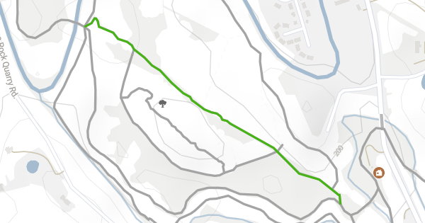 Grassy Cross Section Mountain Biking Trail - Columbia