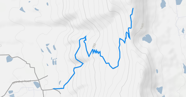 Witzenberg: Wagon Trail to the Cross Mountain Biking Trail