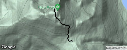 Flora Peak Route Hiking Trail - Chilliwack, BC