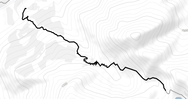 Pierce Lake Hiking Trail Hiking Trail - Chilliwack