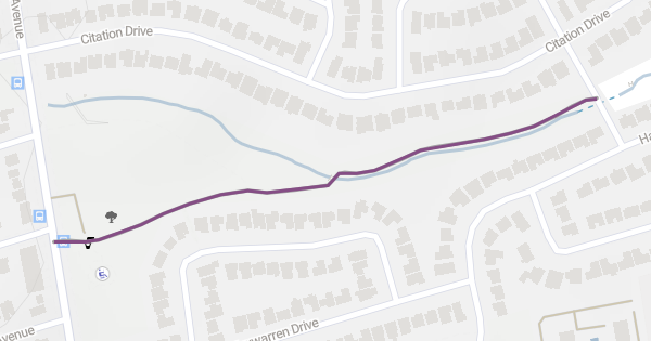 Bayview Village Park Multi Trail - North York, ON