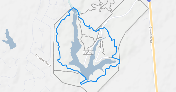 Chinquapin Trail Multi Trail - Huntsville, Texas