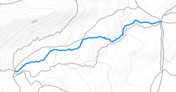 Whoops (Lower) Mountain Biking Trail - Bend, Oregon