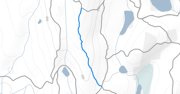 Ridge Trail Mountain Biking Trail - Prince George, BC