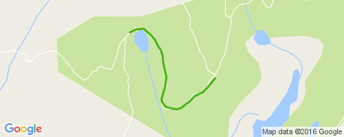 Greenway Trail (UNBC Access) Mountain Biking Trail - Prince George