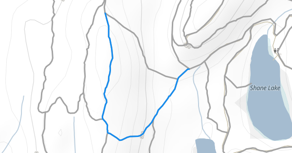 Southern Loop Trail Mountain Biking Trail - Prince George