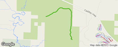 Betsie River #6 - #1 Mountain Biking Trail - Thompsonville