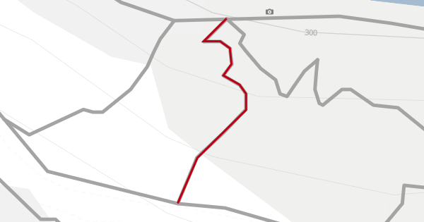 Ivan Major Mountain Biking Trail - Wānaka | Trailforks