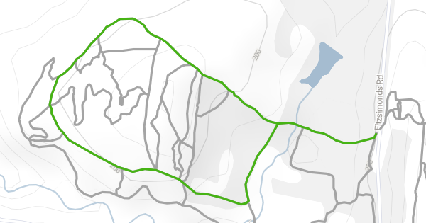 Out n' Back Trail Mountain Biking Trail - Jericho, VT