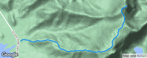 Mt Anne Trail Hiking Trail - Maydena | Trailforks