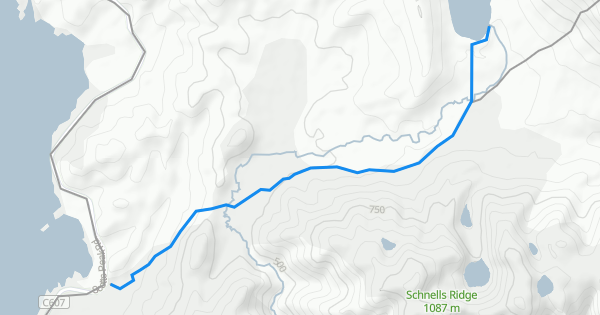 Lake Judd Trail Hiking Trail - Maydena | Trailforks