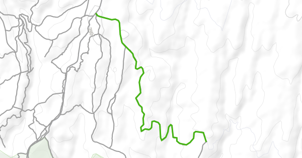 Chettle Road - Gravel Multi Trail - Trentham