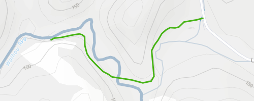 Te Waihou Walkway - Leslie Road to Blue Spring Hiking Trail