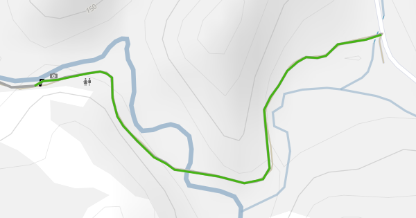 Te Waihou Walkway - Leslie Road to Blue Spring Hiking Trail