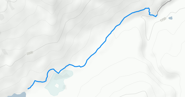 Shadow Lake Trail Multi Trail - - Alberta | Trailforks