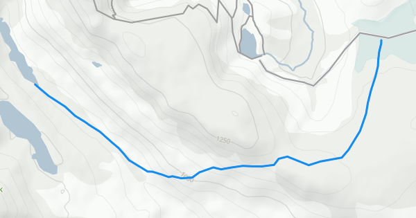 Lake Belcher Trail from Wombat Moor Hiking Trail
