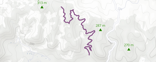 DFCI AL 217 - Piste des Lombards Multi Trail