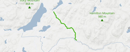 Northville-Placid Trail (Piseco Lake) Hiking Trail - Speculator